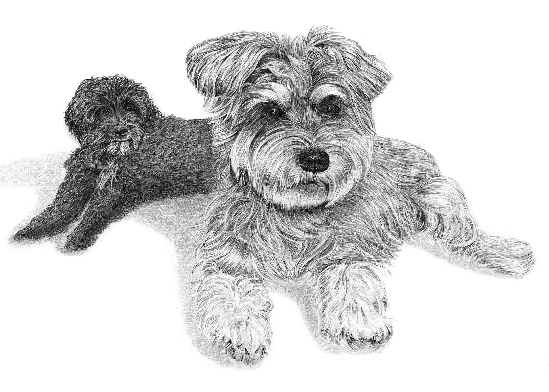 Pencil Portrait of Two Dogs | Pencil Sketch Portraits